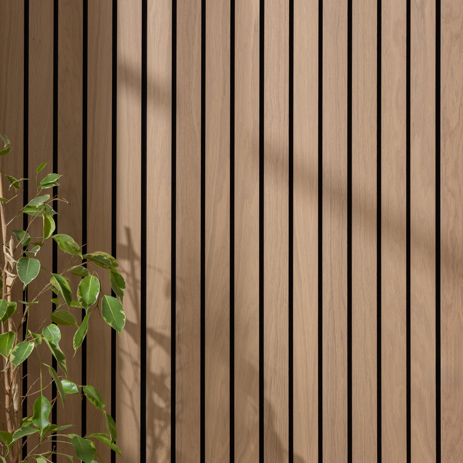 SlatWall Grand Acoustic Light Oak Panel | Naturewall